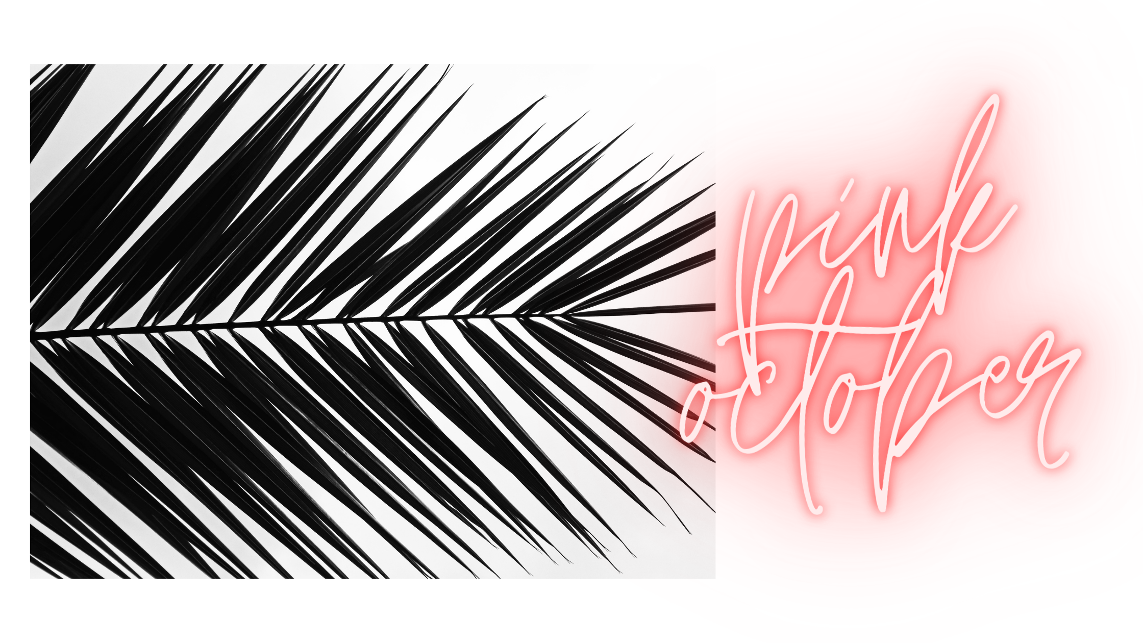 Pink October – Bri D. PT.